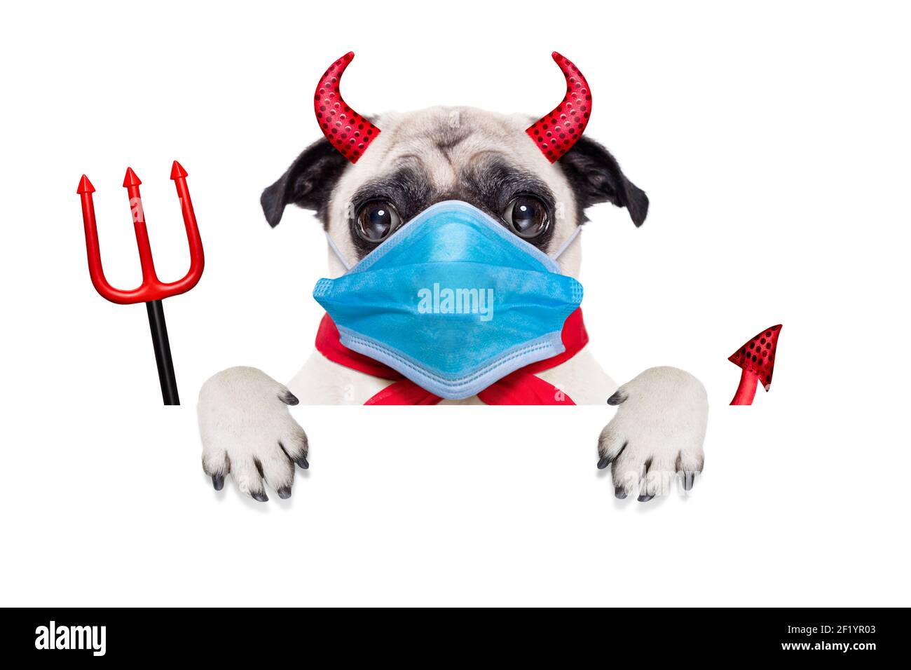 Halloween devil dog Stock Photo - Alamy