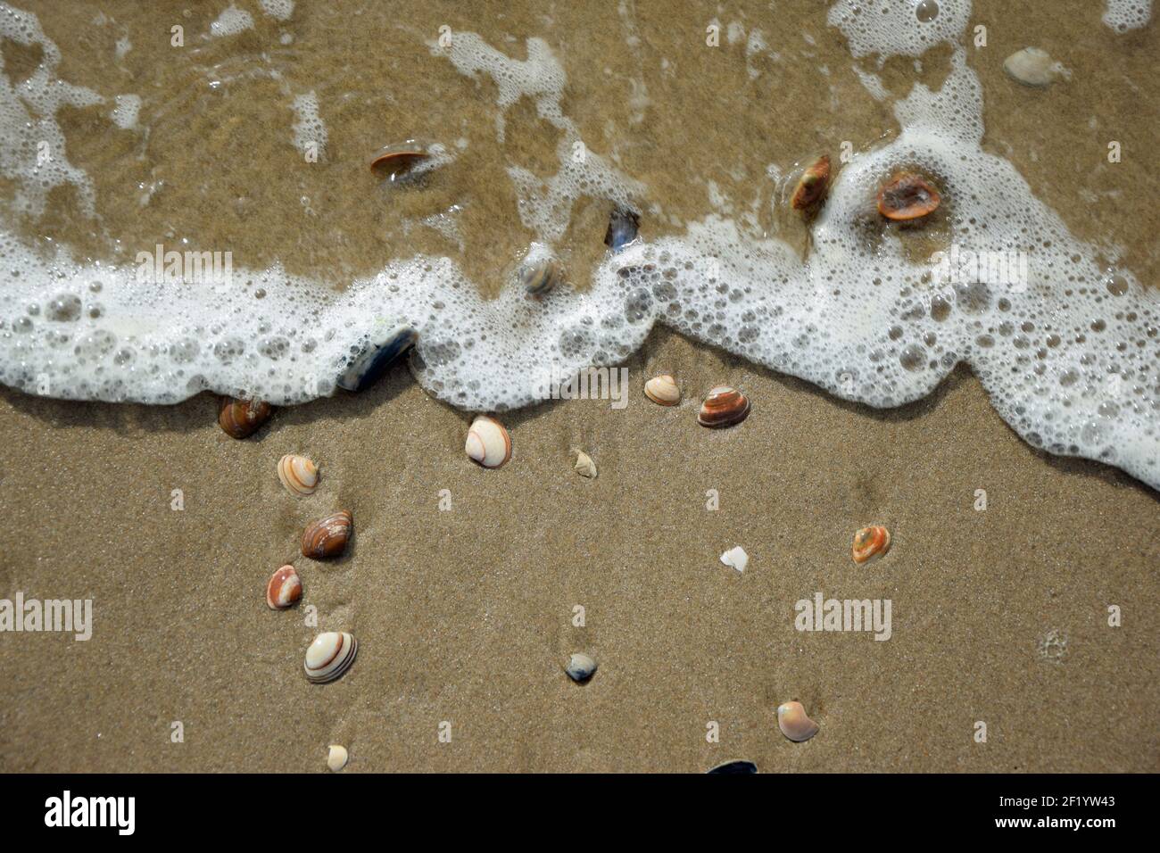 Stones on a beach Stock Photo - Alamy