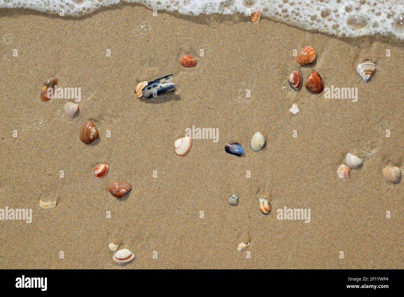 Stones on a beach Stock Photo - Alamy