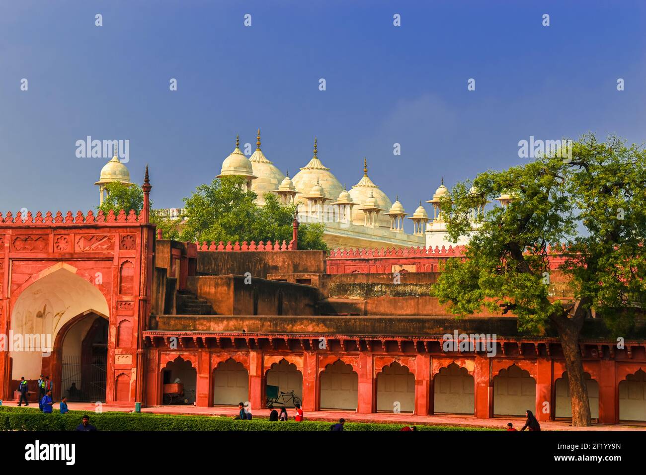 Architecture, Design & Landscape of various forts in Rajasthan, India ...