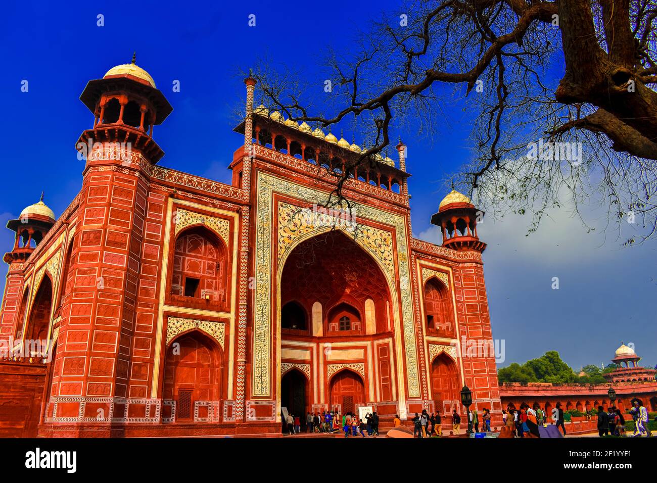 Architecture, Design & Landscape of various forts in Rajasthan, India ...