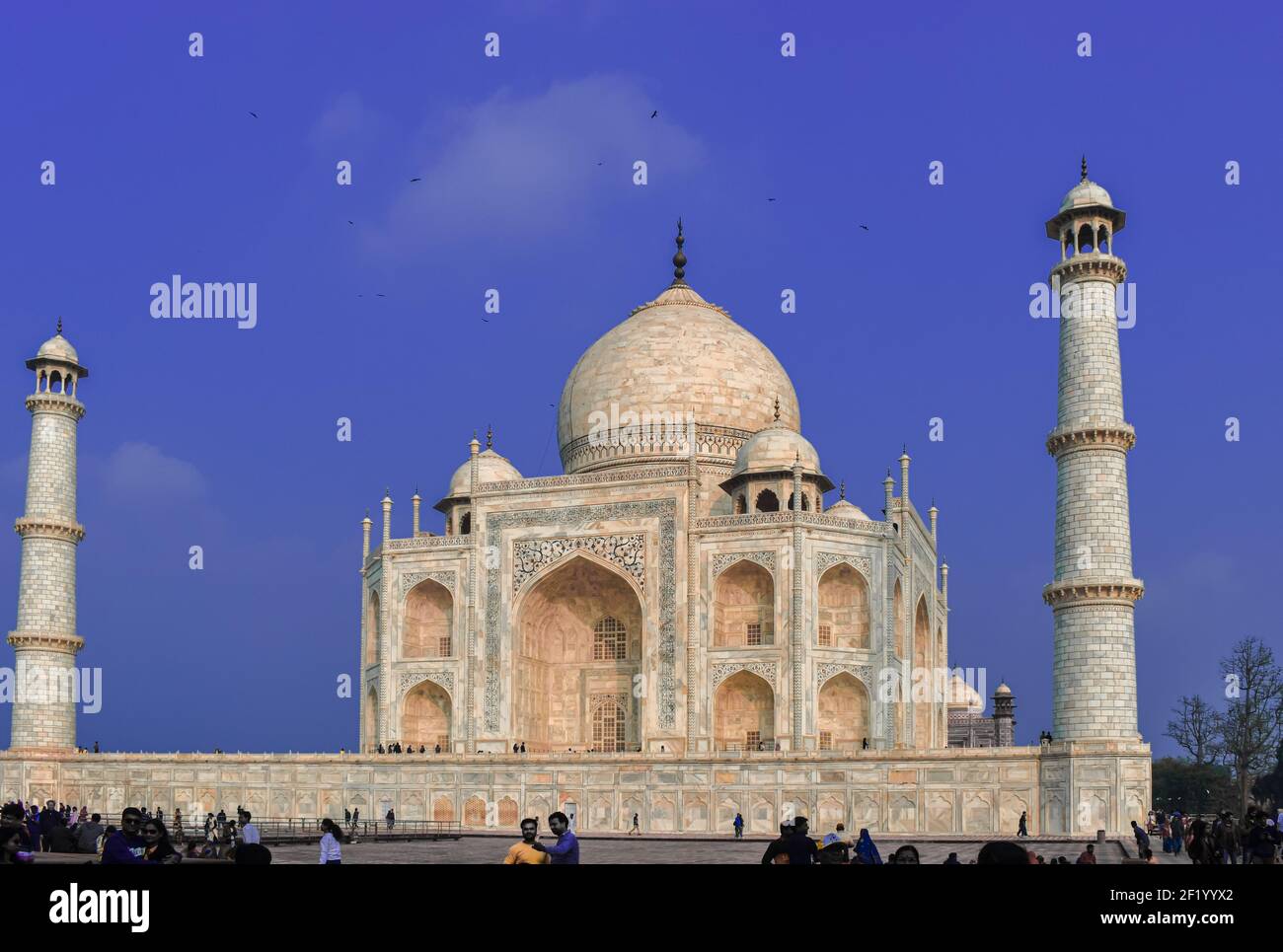 Architecture, Design & Landscape of various forts in Rajasthan, India ...