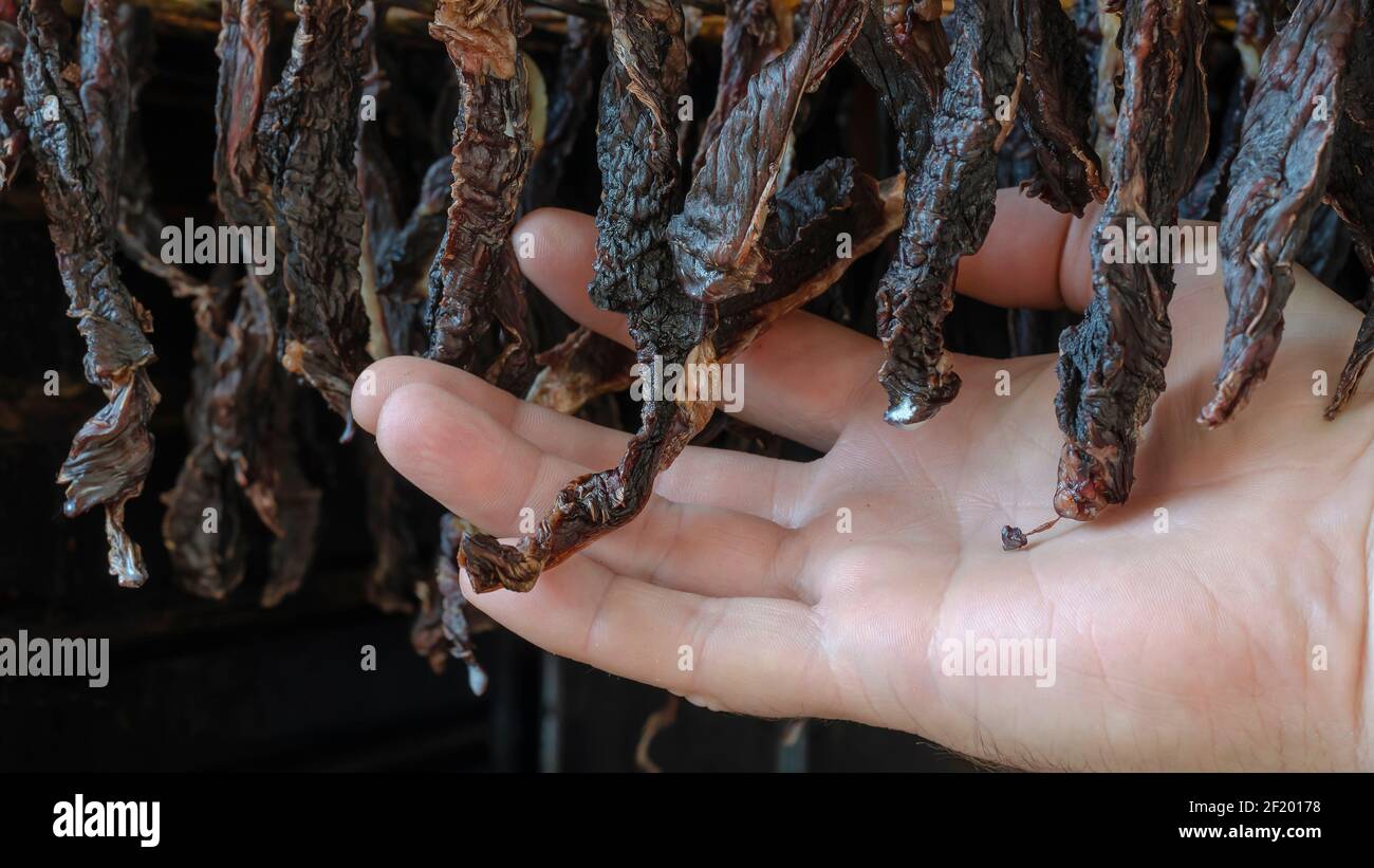 Hanging beef jerky and male hand close up. Dried beef strips. Ready-to ...
