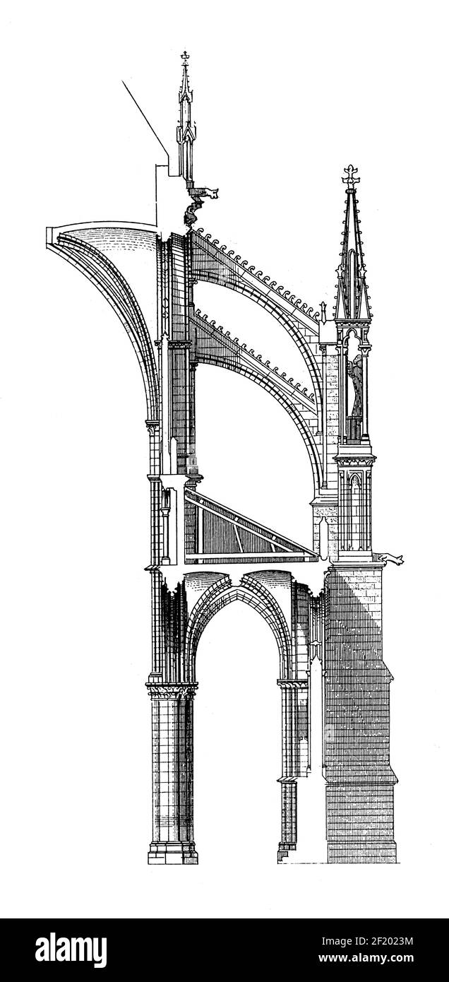 Reims Cathedral Section