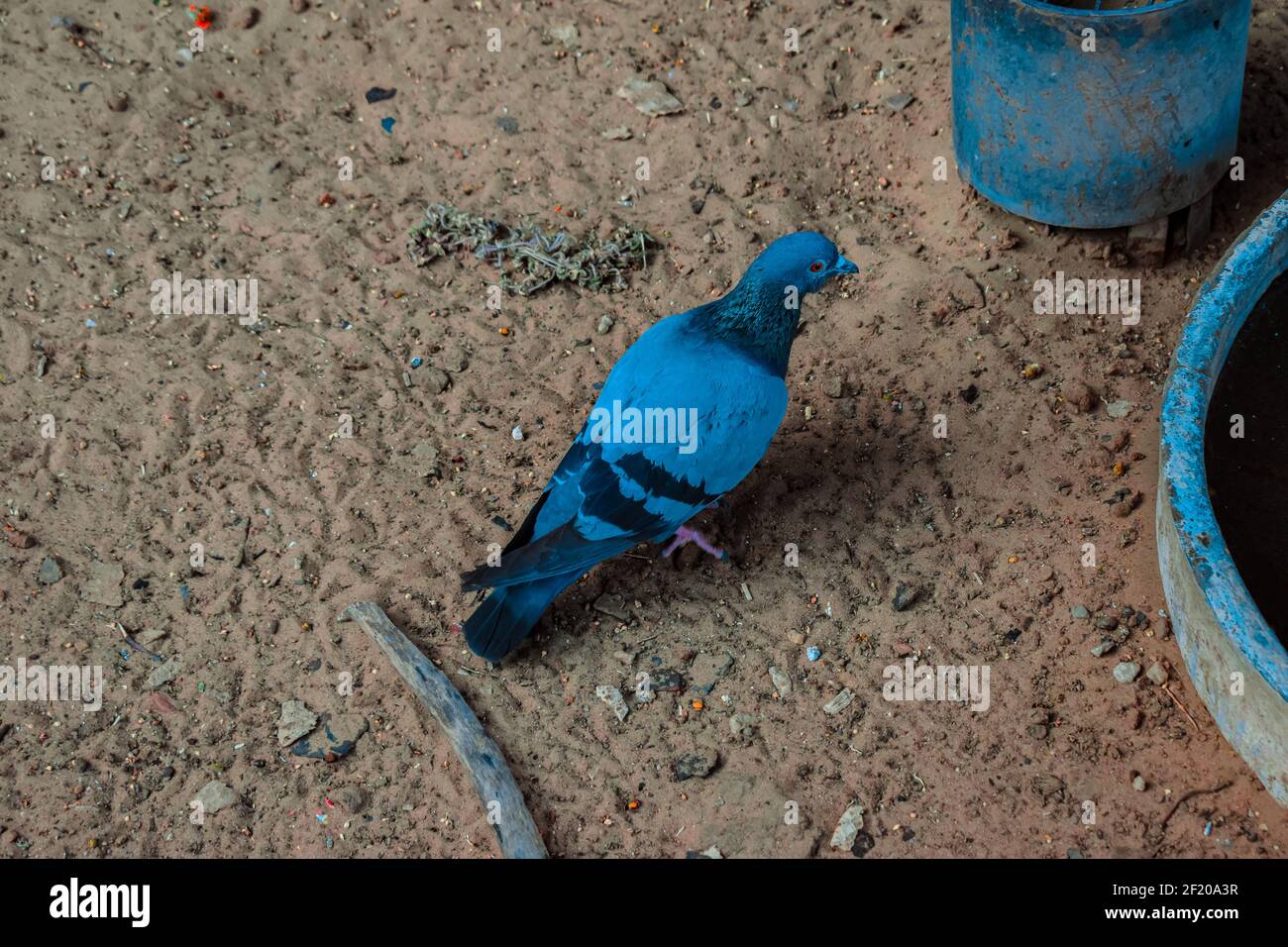 Architecture, Design & Landscape of various forts in Rajasthan, India ...