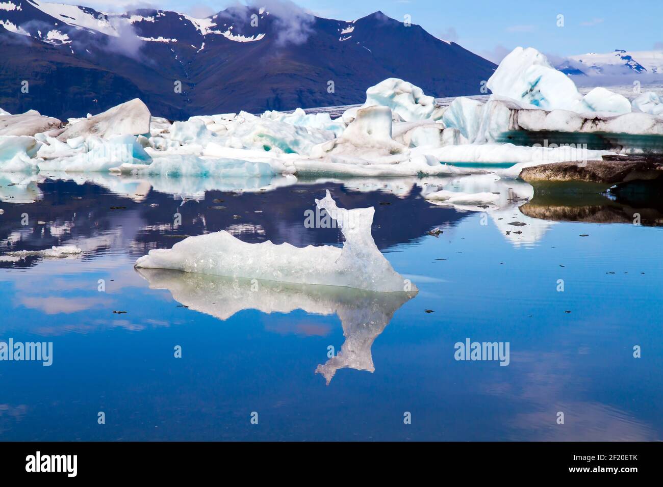 Summer shield hi-res stock photography and images - Alamy