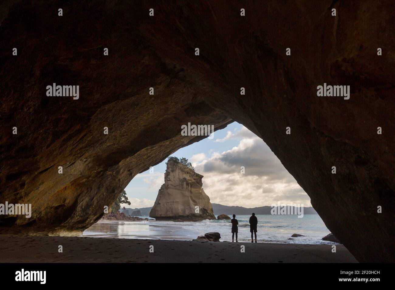 Cathedral Cove New Zealand