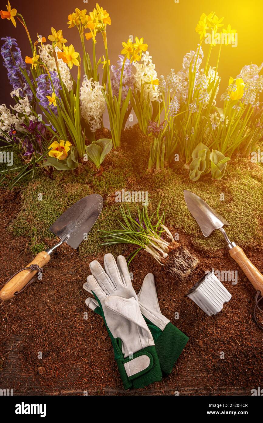 Concept season hobby work hi-res stock photography and images - Alamy