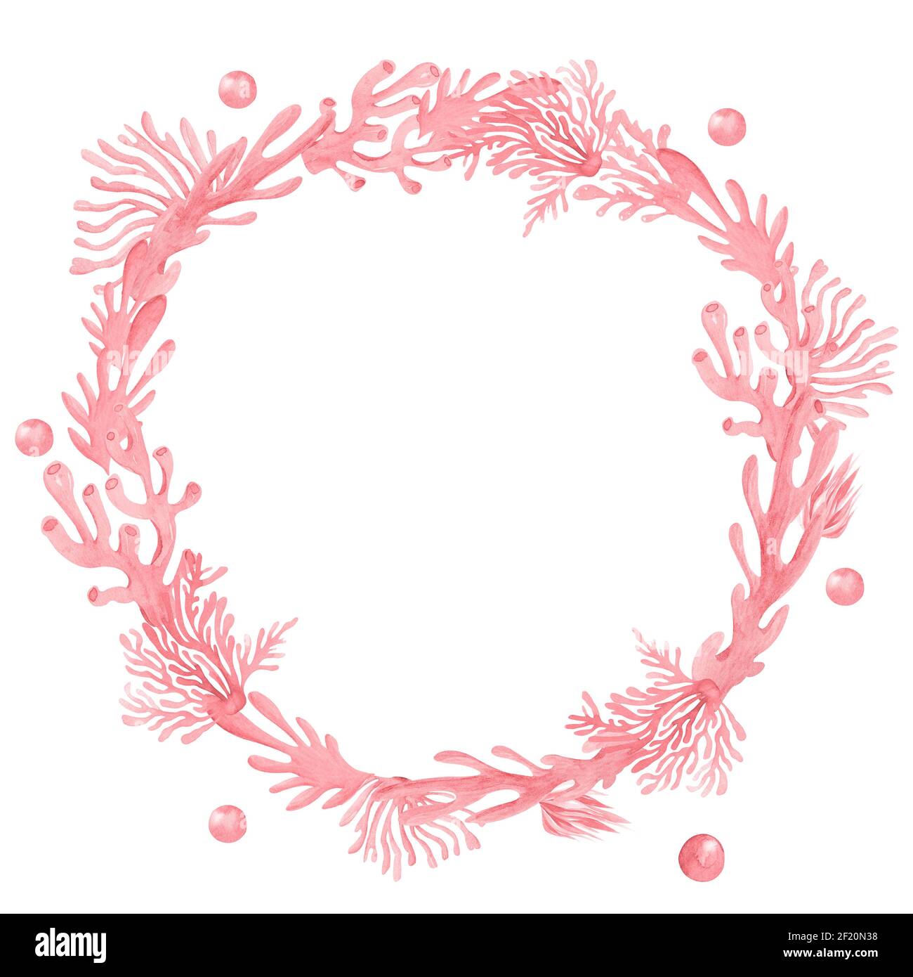 Coral reef Cut Out Stock Images & Pictures - Alamy