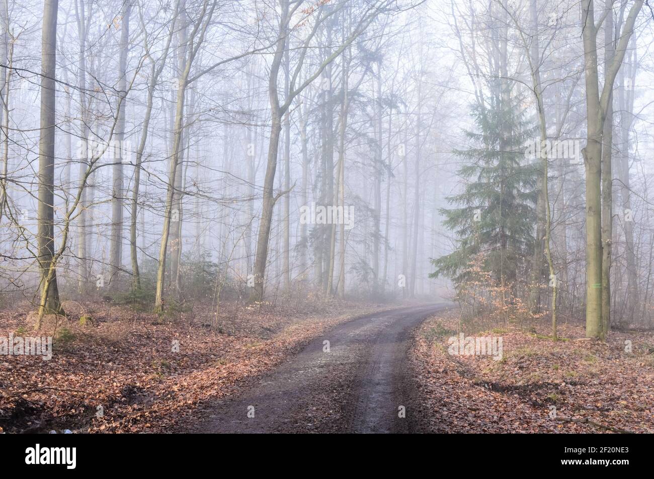 Empty direction hi-res stock photography and images - Alamy