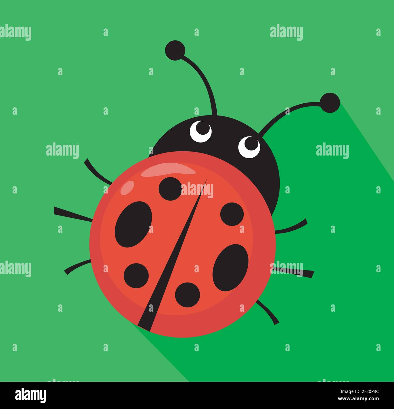 Ladybug vector illustration Stock Vector Image & Art - Alamy