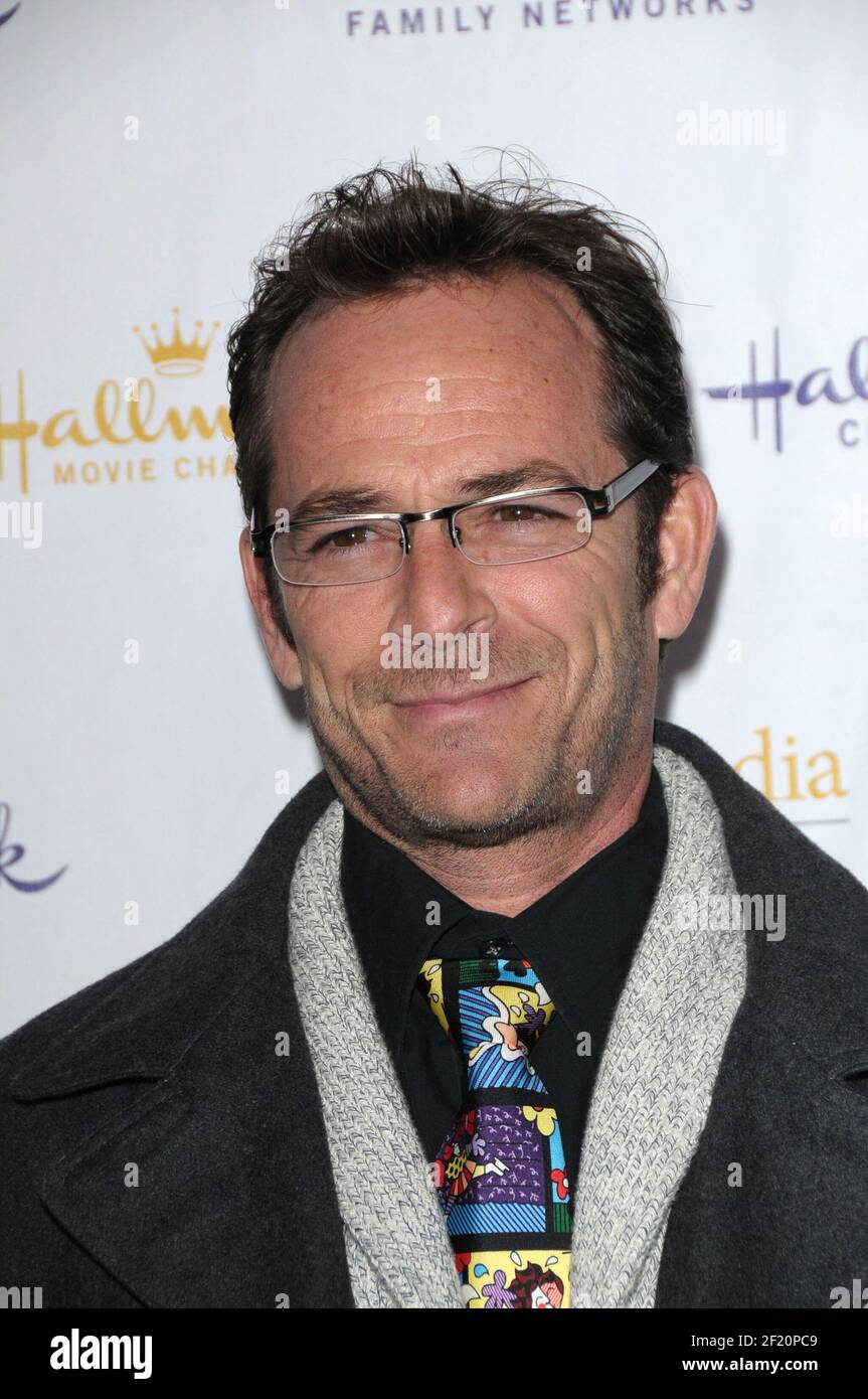 Luke Perry at Hallmark Channel and Hallmark Movie Channel Winter 2013 ...