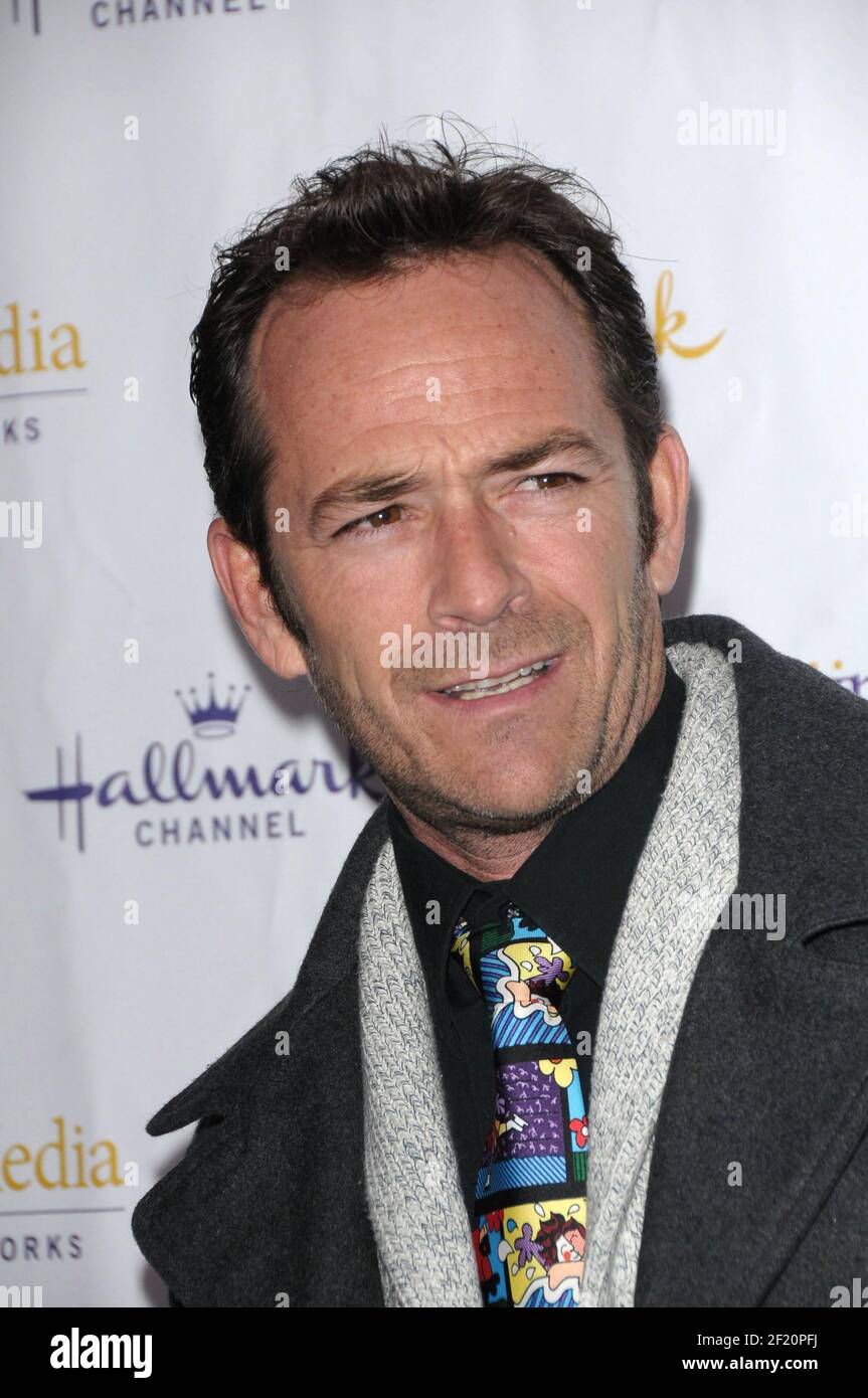Luke Perry at Hallmark Channel and Hallmark Movie Channel Winter 2013 ...