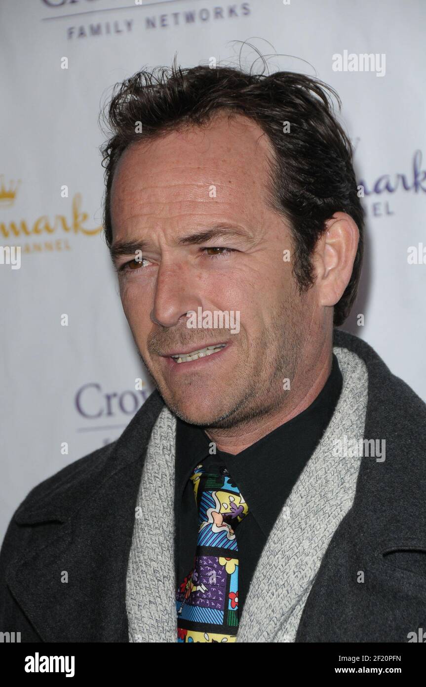 Luke Perry at Hallmark Channel and Hallmark Movie Channel Winter 2013 ...