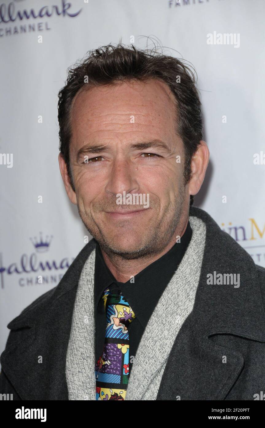Luke Perry at Hallmark Channel and Hallmark Movie Channel Winter 2013 ...
