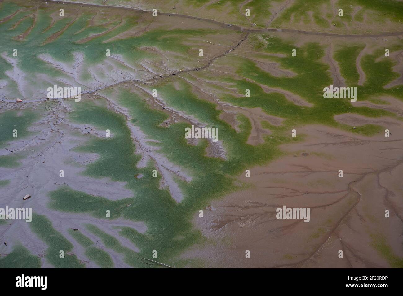 Dry river bed patterns hi-res stock photography and images - Alamy