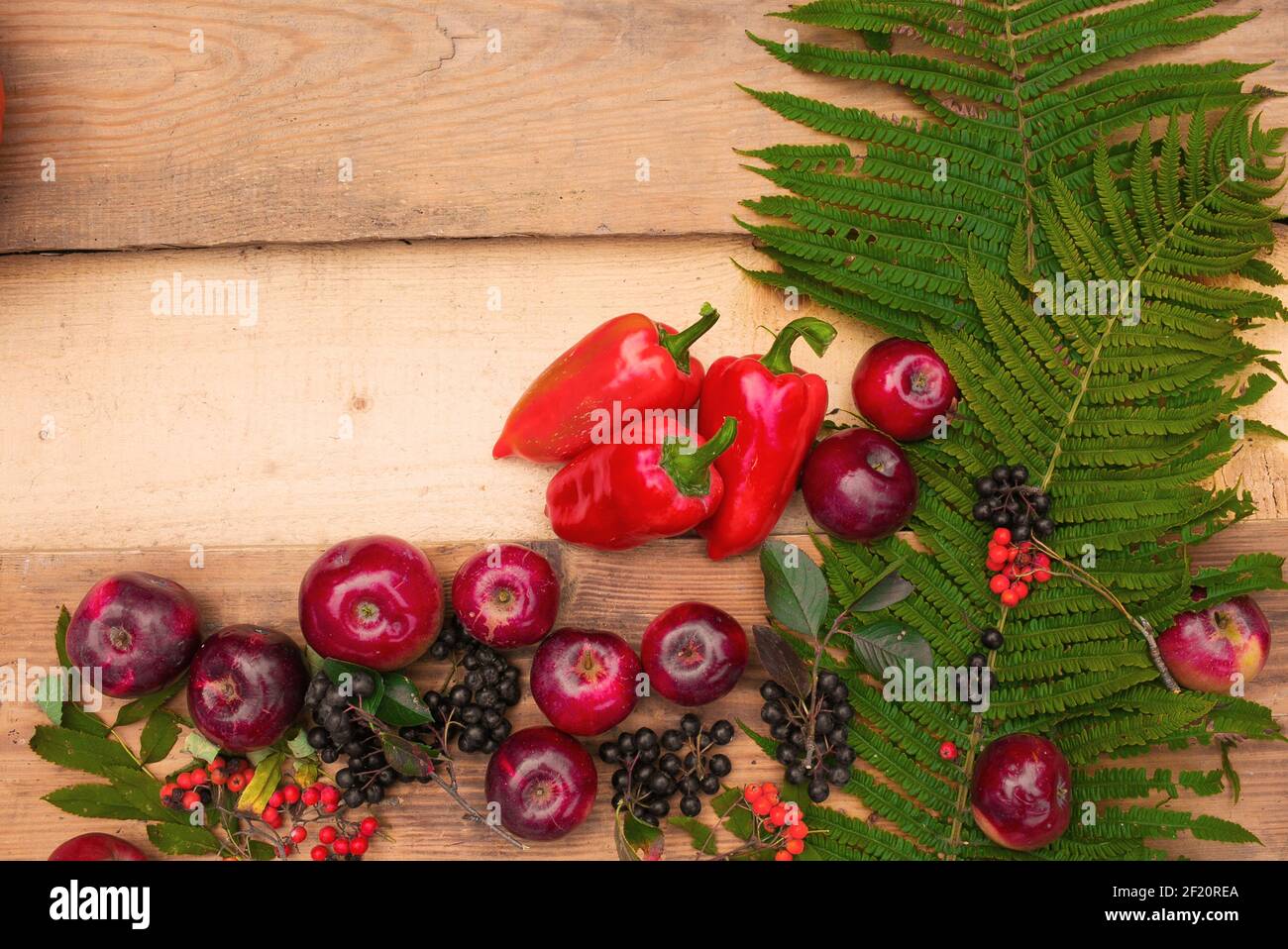 Red apples, peppers and ferns on a wooden background. Autumn still life ...