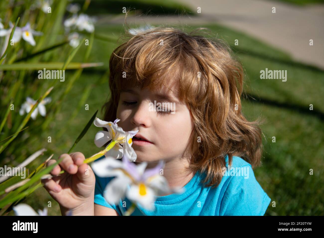 Little boy smelling flower outdoor. Kid sniffing white flowers. Kids ...