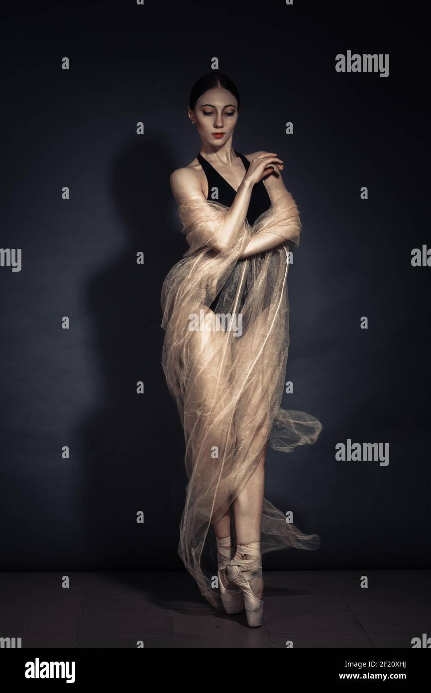 dramatic vintage portrait of a girl dancing ballerina in a black dress ...