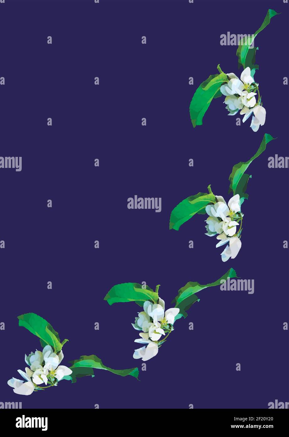 Frames - a branch of apple flowers on the blue background of the A4 ...