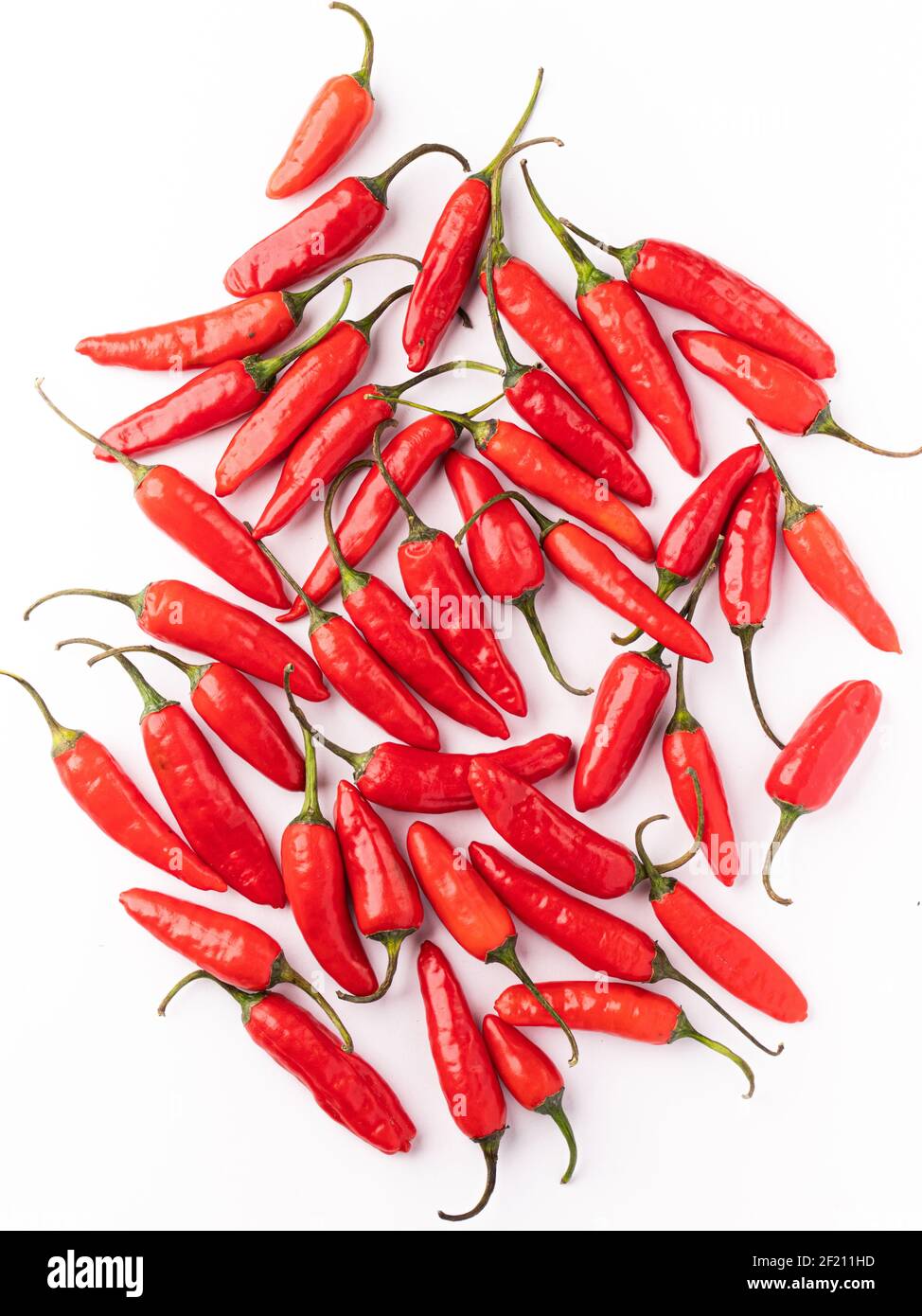 Fresh Red Chili with white background stock image Stock Photo - Alamy