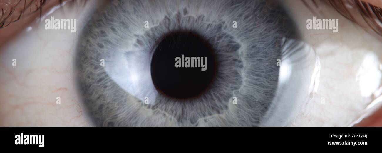 Open super macro enlargement of eyes looking at camera Stock Photo - Alamy