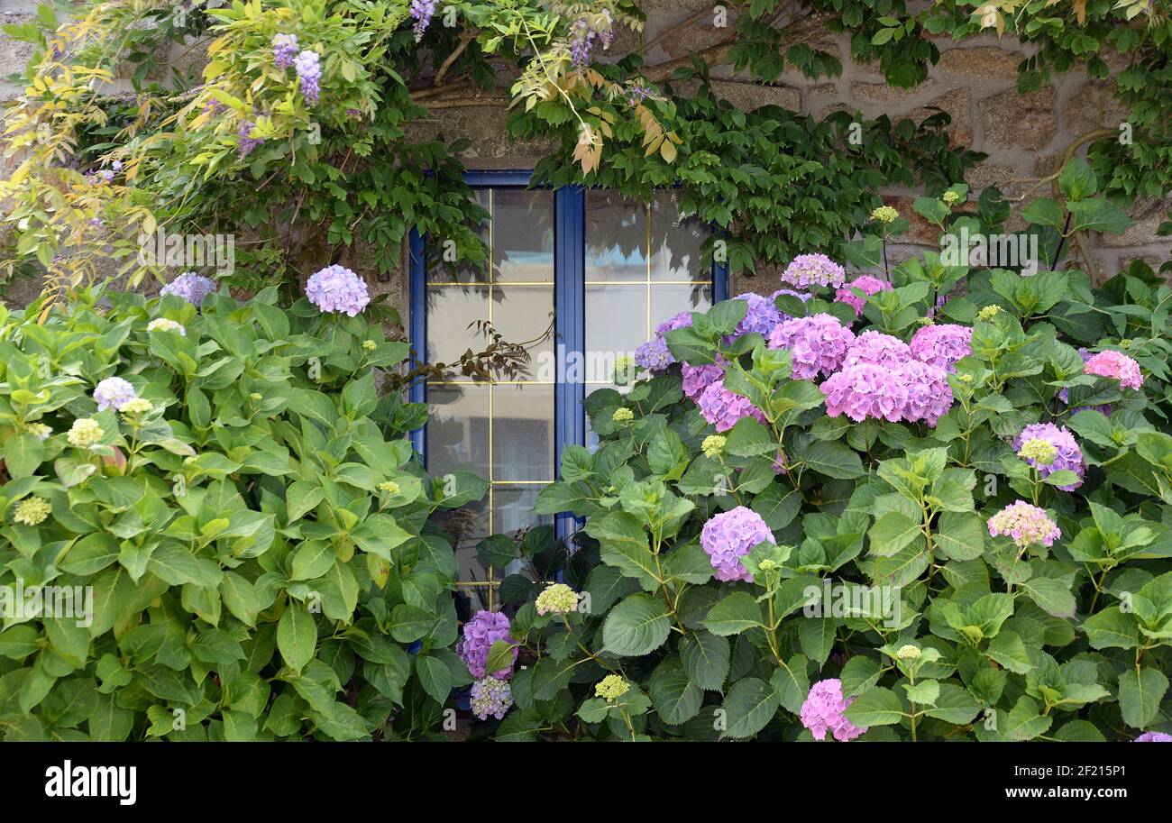 Window in Locronan Stock Photo - Alamy
