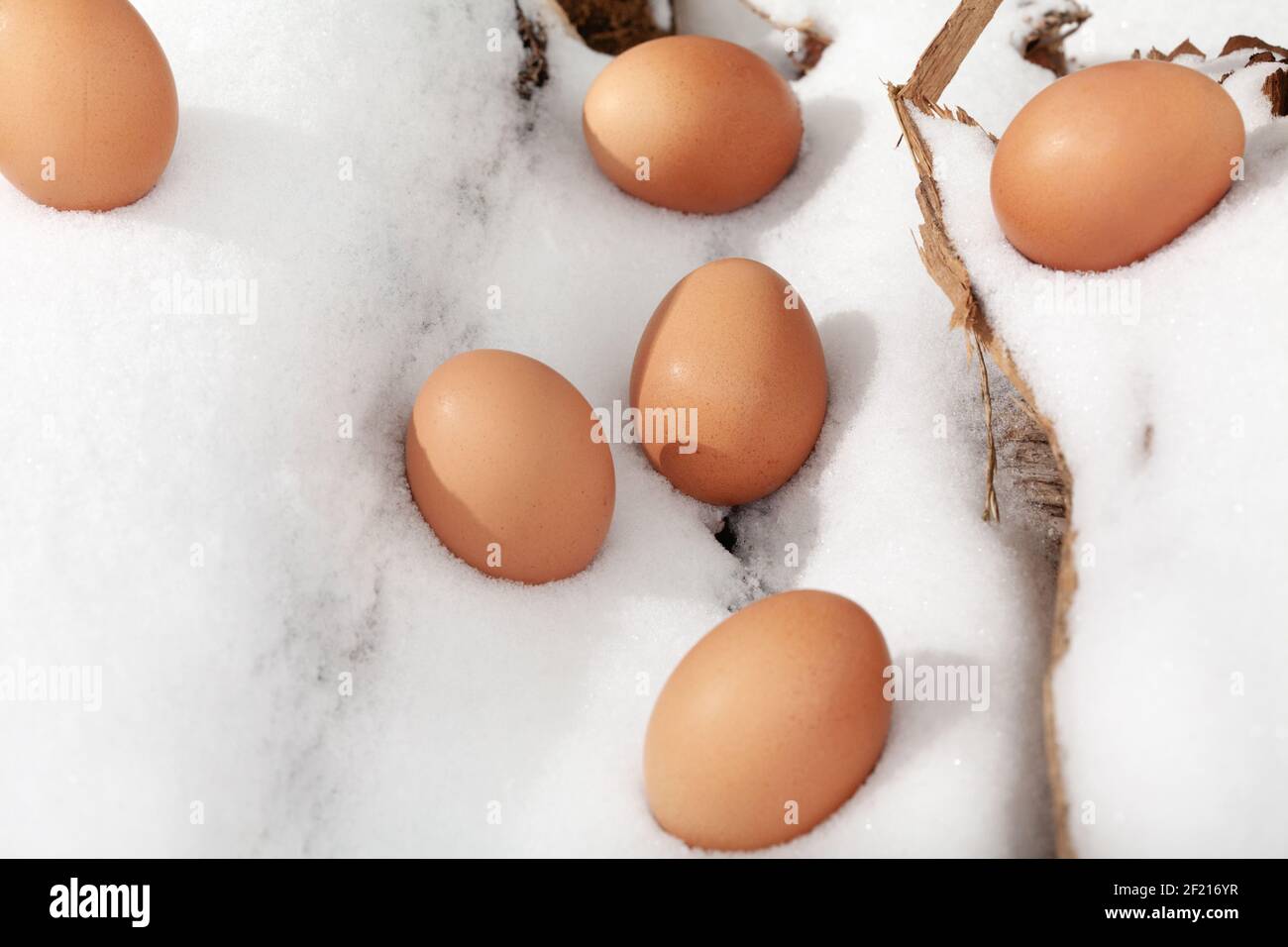 Chicken eggs in the snow. A modern composition about village life ...