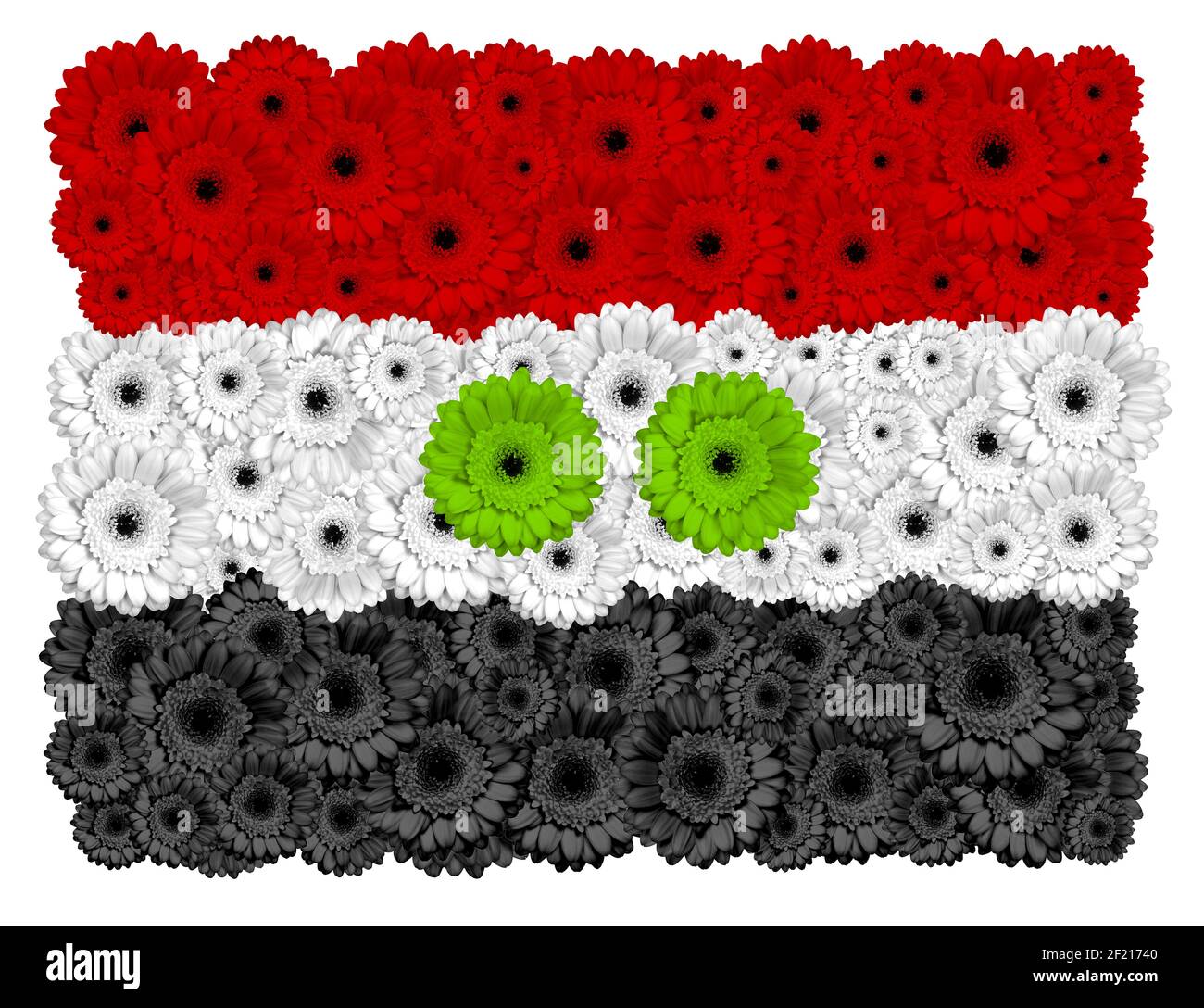 Flora Of Iraq High Resolution Stock Photography and Images - Alamy
