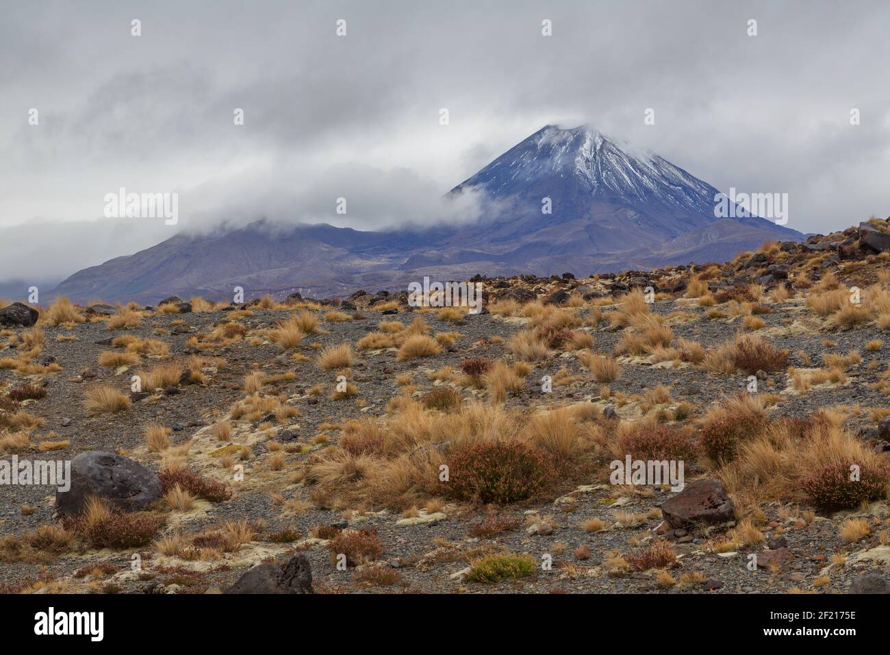 Mount Ngauruhoe, New Zealand, seen from the scoria flats of neighboring ...