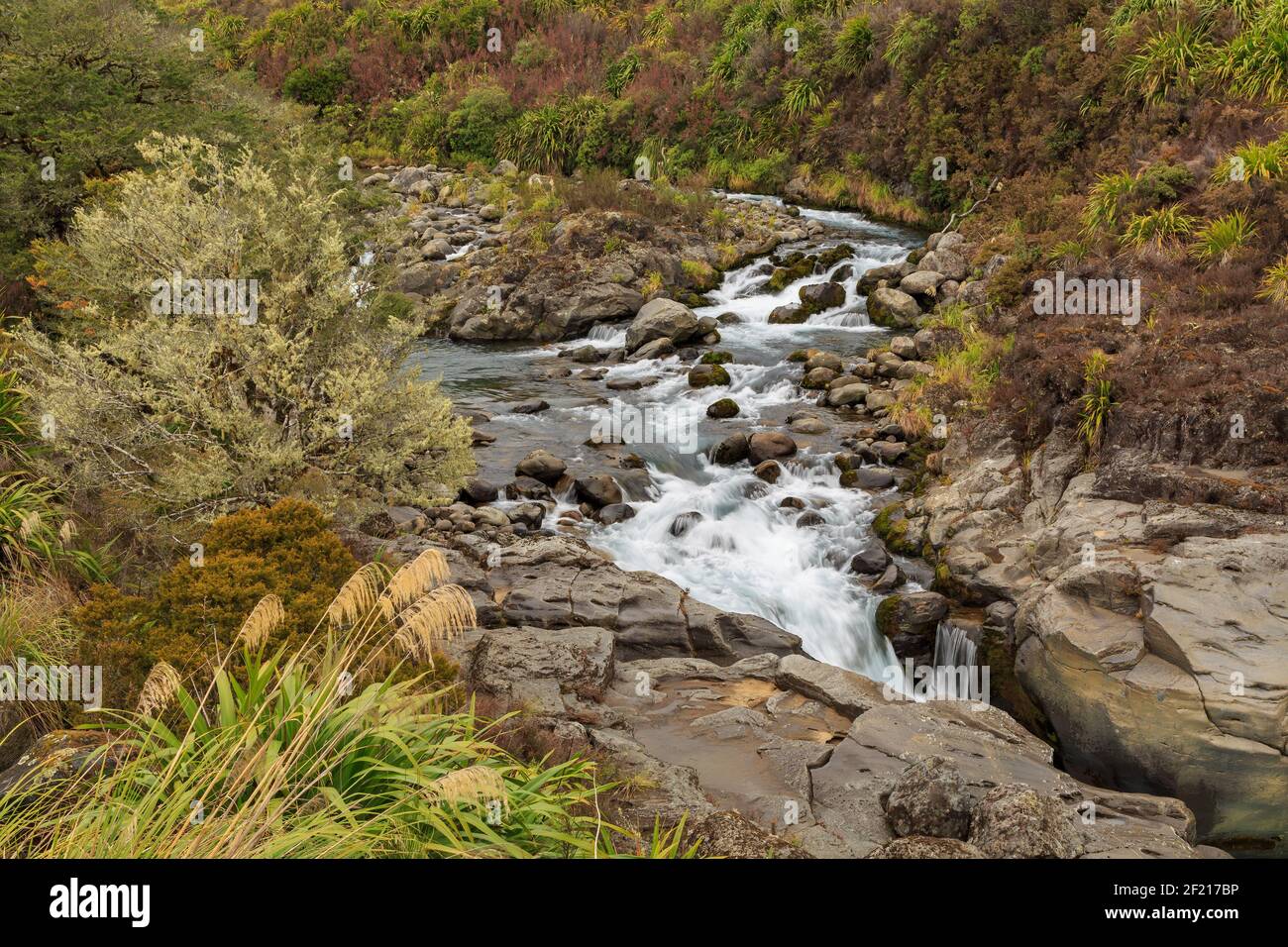 Pukeonake hi-res stock photography and images - Alamy