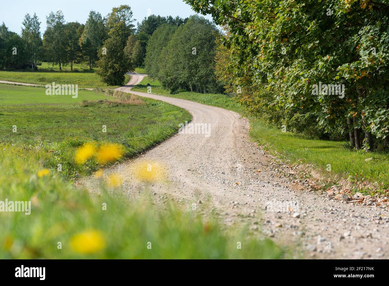 View to the curve country road Stock Photo - Alamy