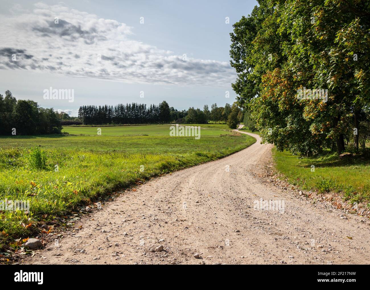 View to the curve country road Stock Photo - Alamy
