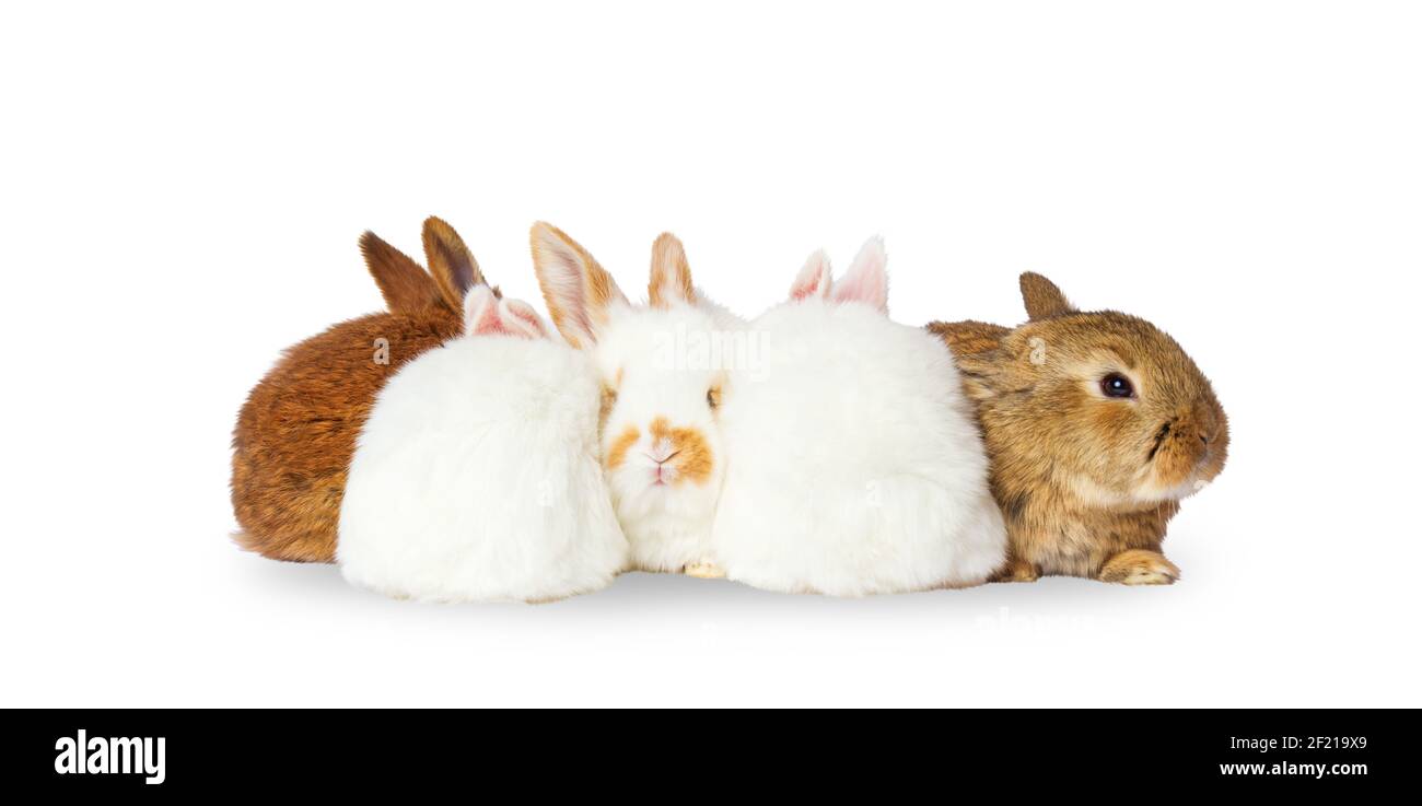 Female sitting in profile Cut Out Stock Images & Pictures - Alamy