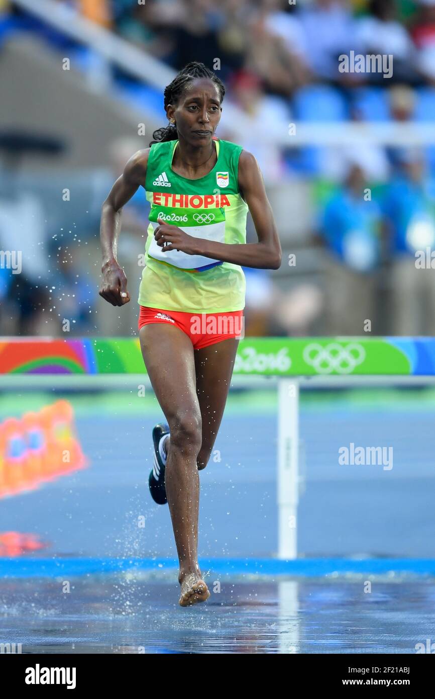 Etenesh DIRO (ETH) competes in Women's Steeplechase during the Olympic ...
