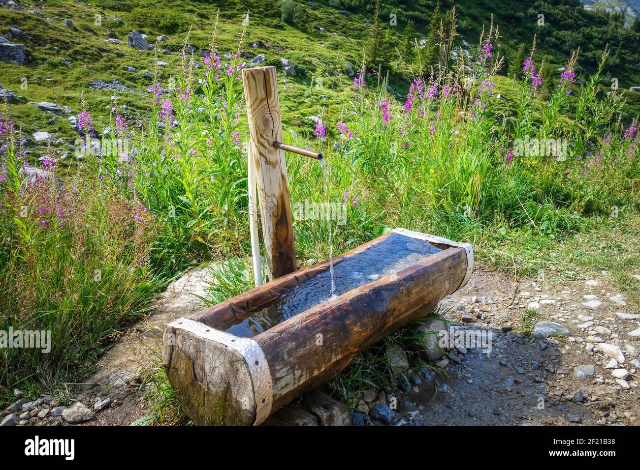 Beautiful mountain stream natural source hi-res stock photography and ...