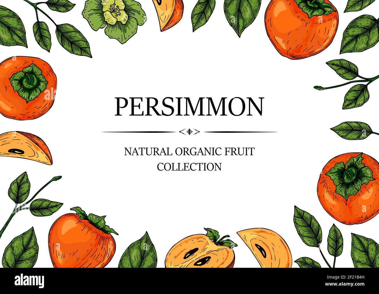 Hand drawn colorful persimmon horizontal design. Vector illustration in ...