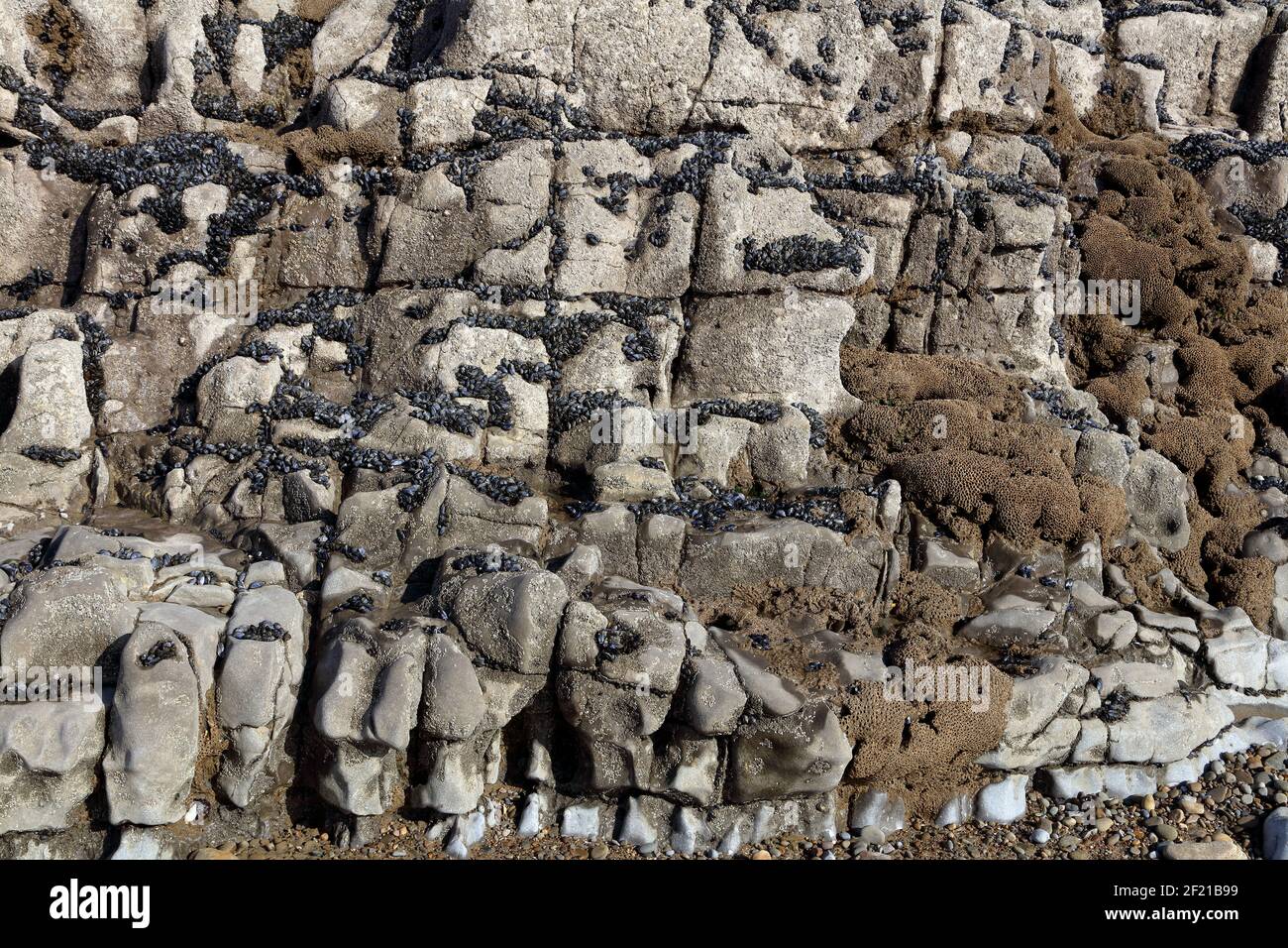 Underwater rock layers hi-res stock photography and images - Alamy