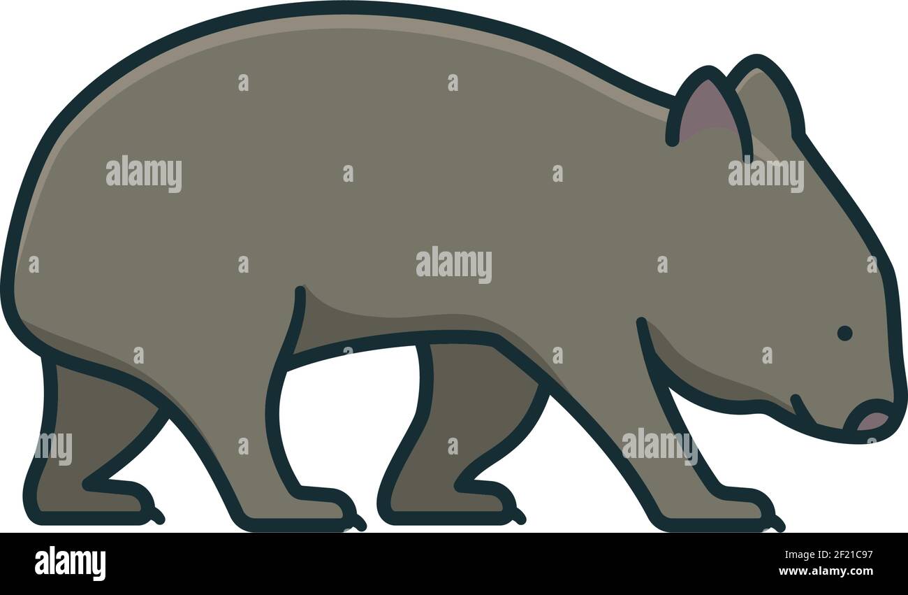 Wombat isolated vector illustration for Wombat Day on October 22 Stock ...