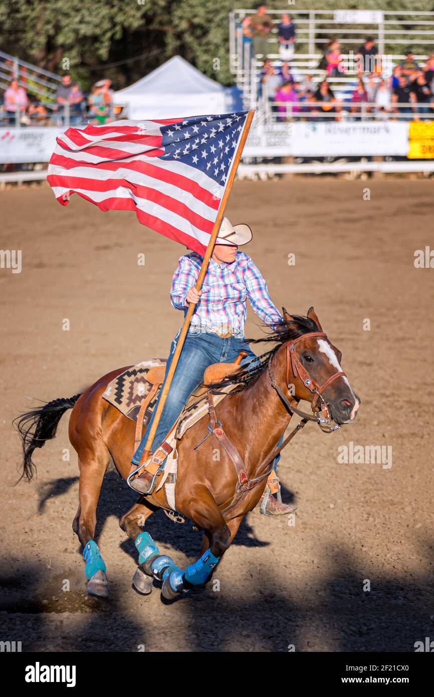 American rodeo hi-res stock photography and images - Alamy