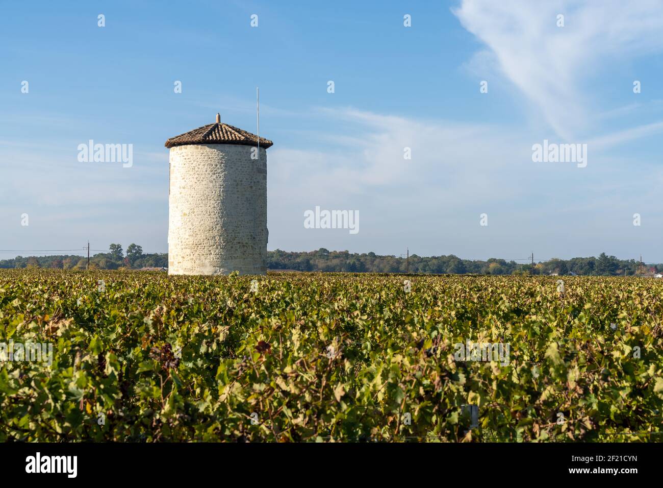 View of beautiful fall colors in the vineyards in Gironde near Bordeaux ...