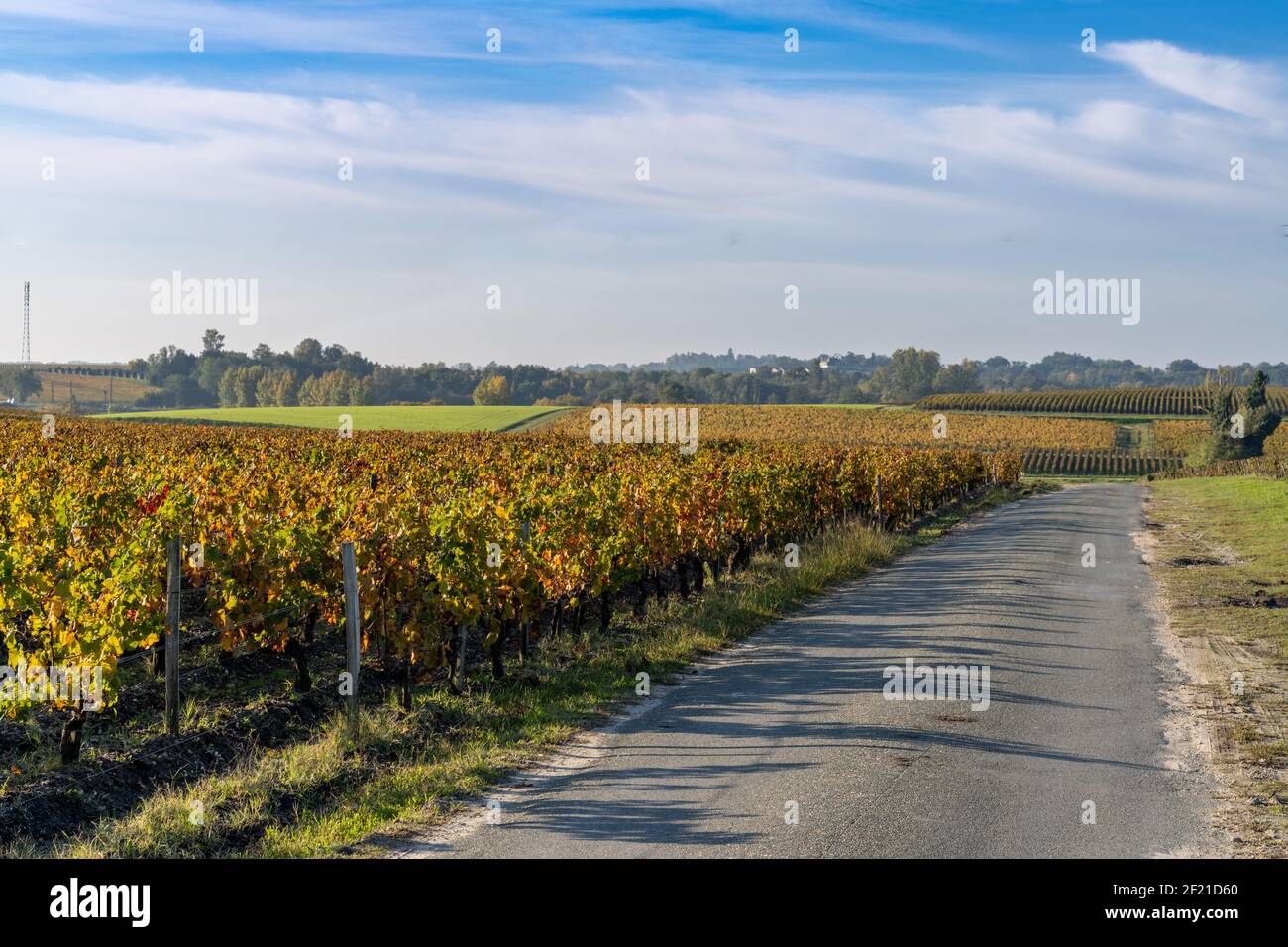 Margeaux hi-res stock photography and images - Alamy