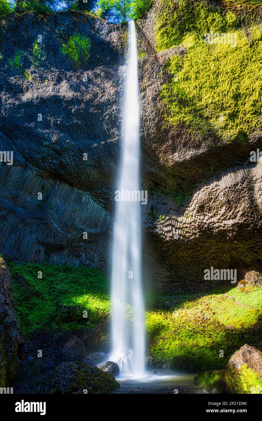 Latourell Falls, Columbia River Gorge, Oregon, USA Stock Photo - Alamy