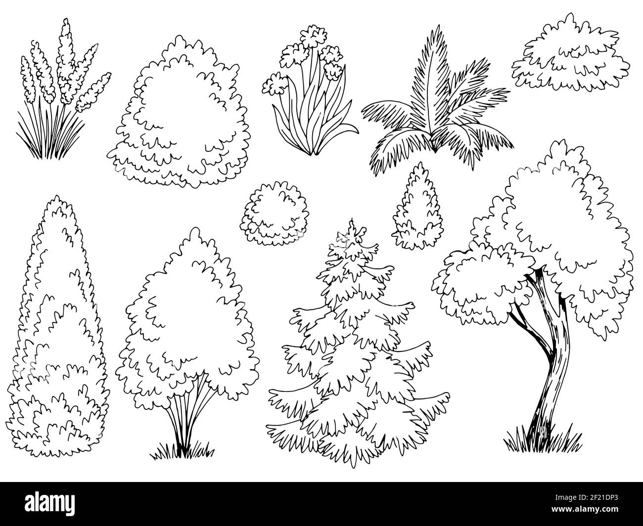Flower Bush Drawing