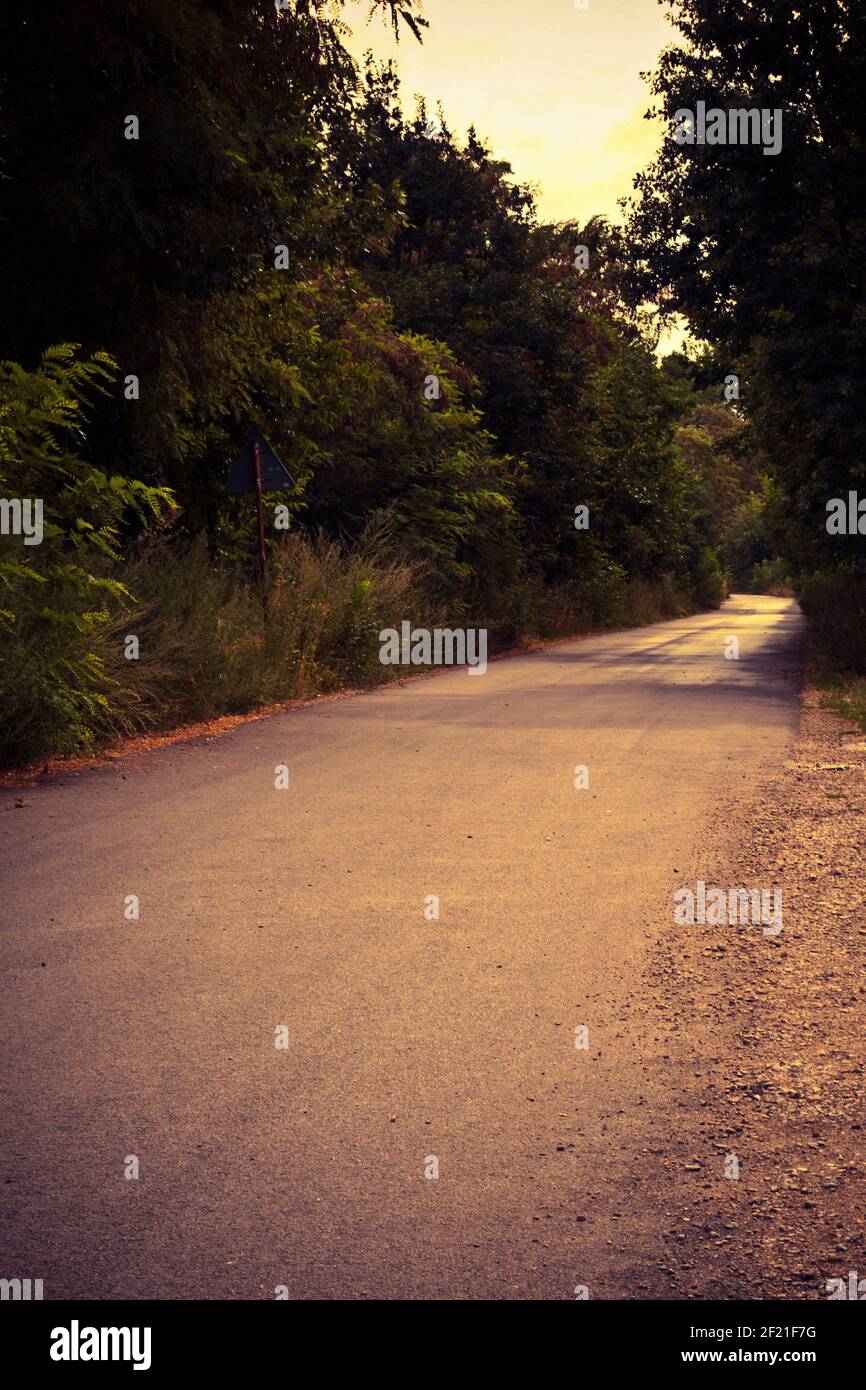 mysterious empty road and trees Stock Photo - Alamy