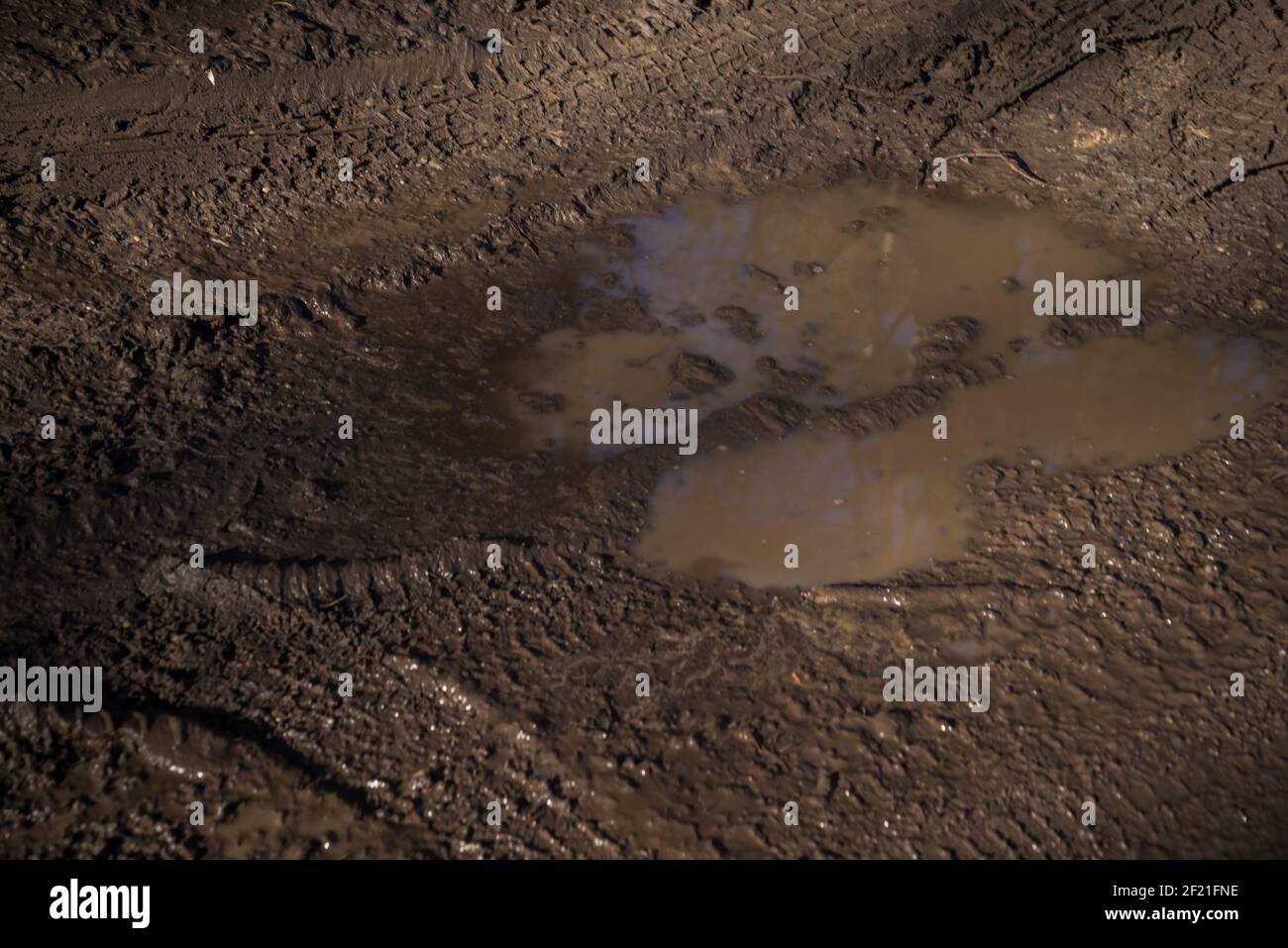 Mud ruts hi-res stock photography and images - Alamy