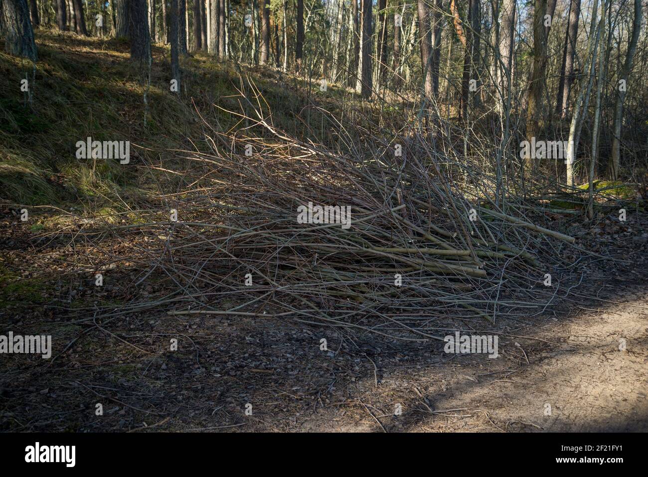 Branches placed on a pile hi-res stock photography and images - Alamy