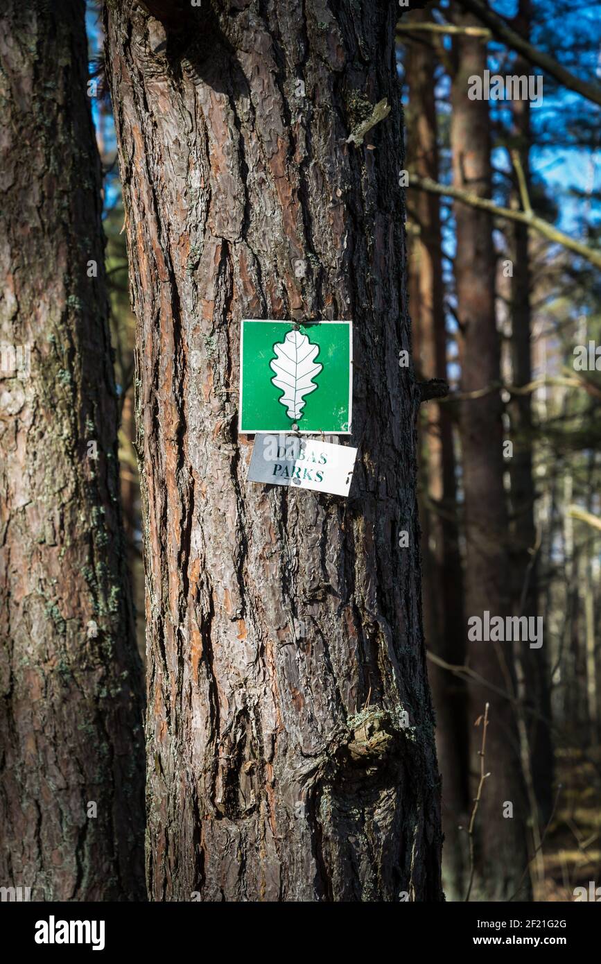 Nature park sign. Attached to a brown pine tree. Spring sunlit pine ...