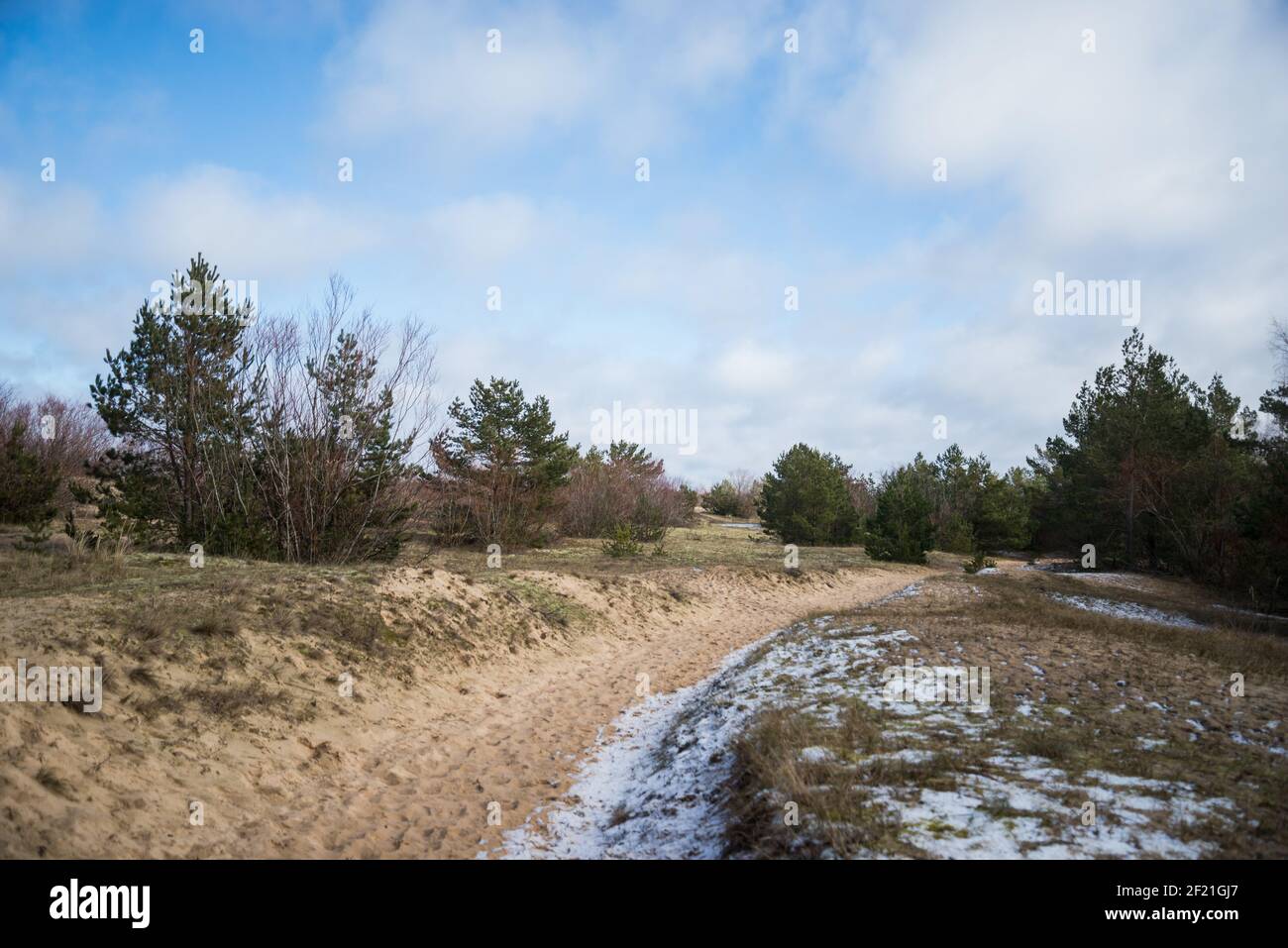 Sea dune landscape on a spring day with as yet unmelted snow and green ...