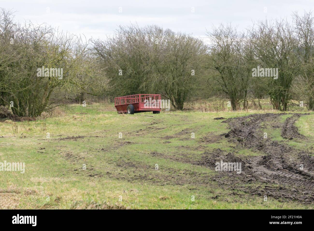 Old red farmers Trailer in the middle of a tree covered inclosure Stock ...